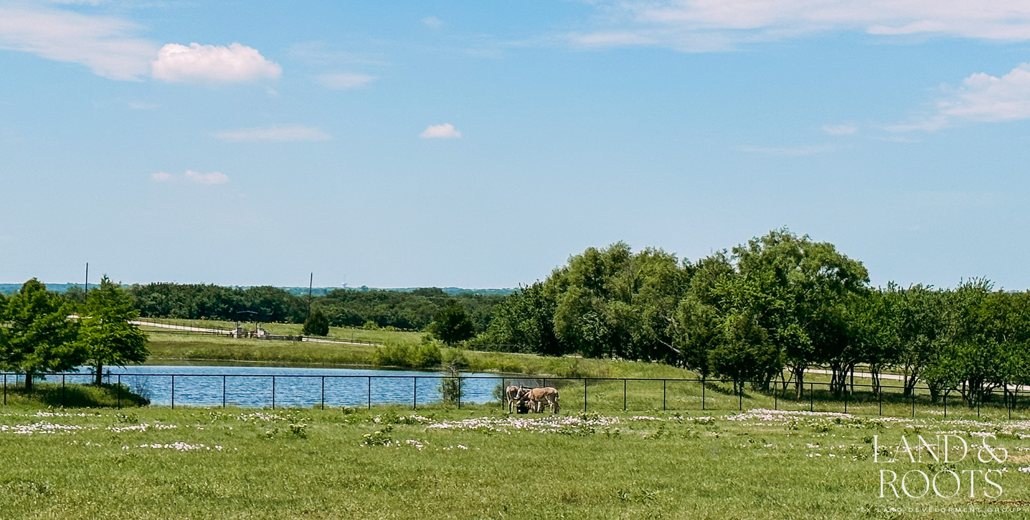 Equestrian Farms Celina – Land & Roots