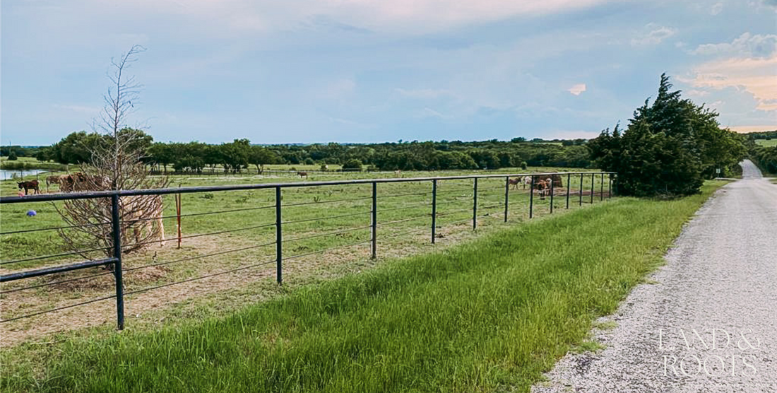 Equestrian Farms Celina – Land & Roots